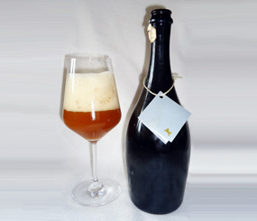 Im Biertest: Brauhaus Riegele Ator20 - www.bier-entdecken.de