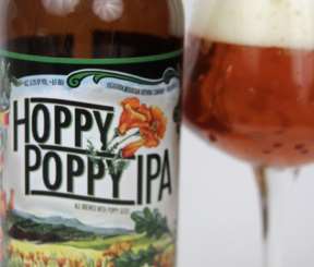 hoppy poppy ipa_artikel - bier-entdecken.de